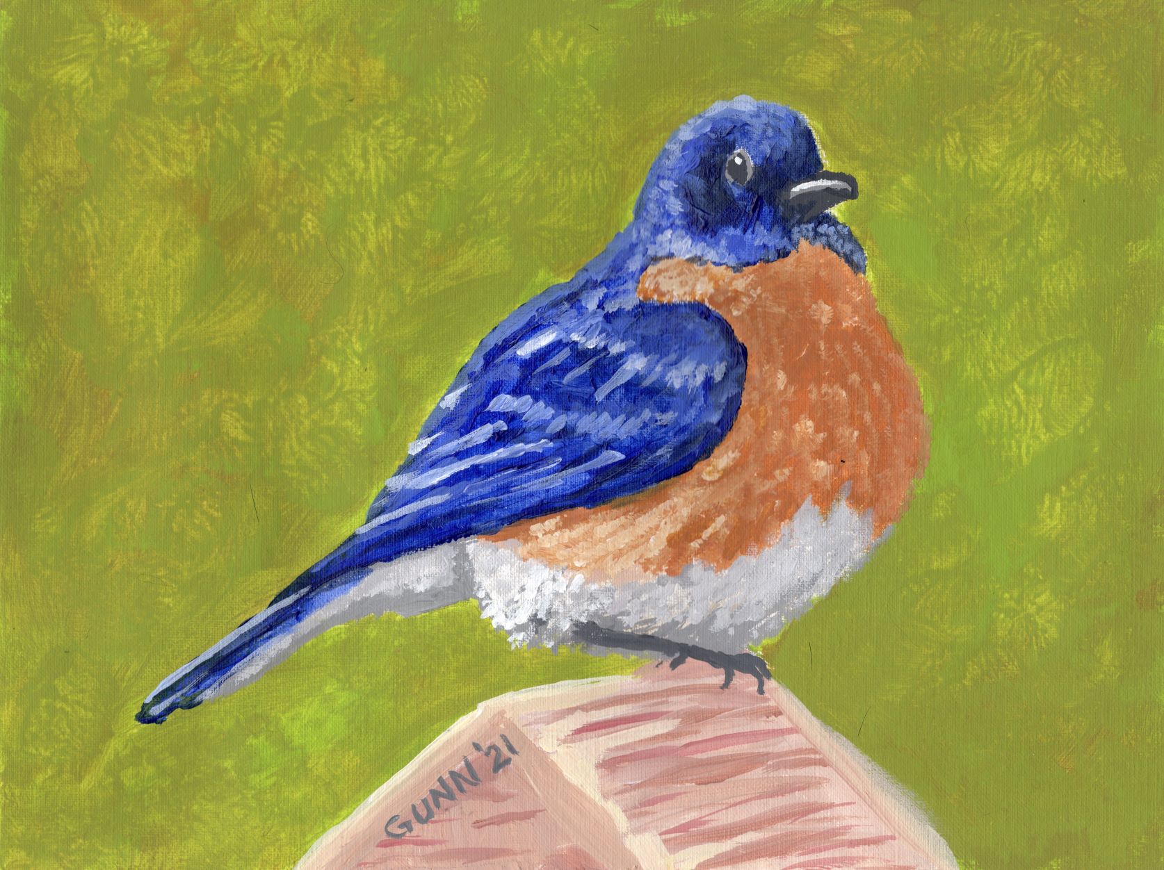 Eastern Bluebird acrylic painting - KM Gunn Art