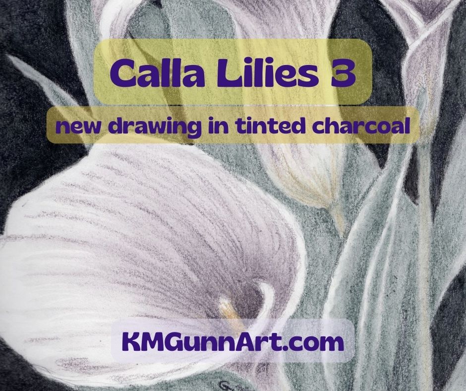 Calla Lilies 3 drawing in tinted charcoal - KM Gunn Art