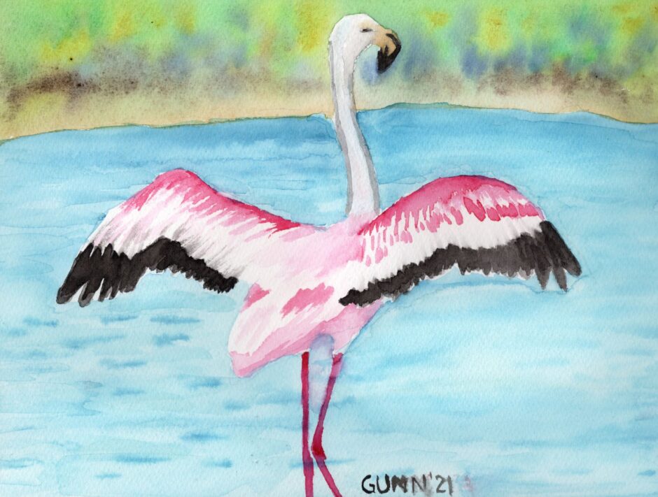 Flapping Flamingo in watercolor - KM Gunn Art